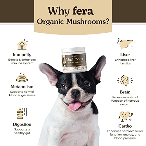 FERA PET ORGANICS Allergy and Immune Support Mushrooms Supplement Blend for Dogs and Cats - Cognitive Health, Vitality, and Immune Support Booster - 120 Servings, 60g