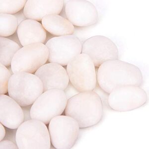 blqh 18 pounds white decorative pebbles river rock aquarium gravel,garden ornamental pebbles, natural polished decorative gravel,white decorative stones,decor pebbles,pebbles for landscaping (white)