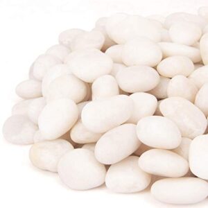 18 pounds decorative pebbles white stones river rock aquarium gravel,white natural polished decorative gravel,white pebbles,garden ornamental pebbles,decorative stones,polished decor rocks (18.6)