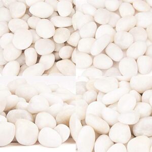 18 Pounds Decorative Pebbles White Stones River Rock Aquarium Gravel,White Natural Polished Decorative Gravel,White Pebbles,Garden Ornamental Pebbles,Decorative Stones,Polished Decor Rocks (18.6)