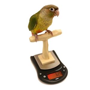 Mini NU Perch Parakeet Training Scale - Small Parrots & Parakeets