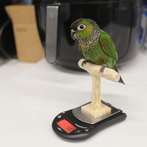 Mini NU Perch Parakeet Training Scale - Small Parrots & Parakeets