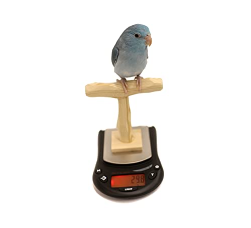 Mini NU Perch Parakeet Training Scale - Small Parrots & Parakeets