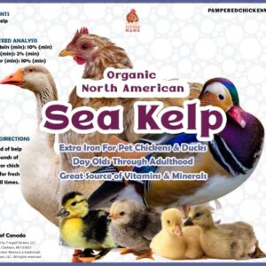 Pampered Chicken Mama Organic Chicken Kelp: Chicken Vitamins Supplement & Duck Feed Supplement 1LB