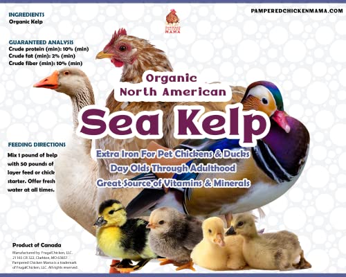 Pampered Chicken Mama Organic Chicken Kelp: Chicken Vitamins Supplement & Duck Feed Supplement 1LB