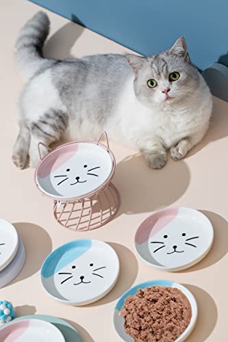 Ceramic Shallow Cat Food Dish, Cat Wet Food and Raw Meat Flat Cat Bowls; Stress Relief of Whisker Fatigue Cat Dishes, Wide Plate for Kittens Small Animals and Short Legged Munchkin Cat Set of 2