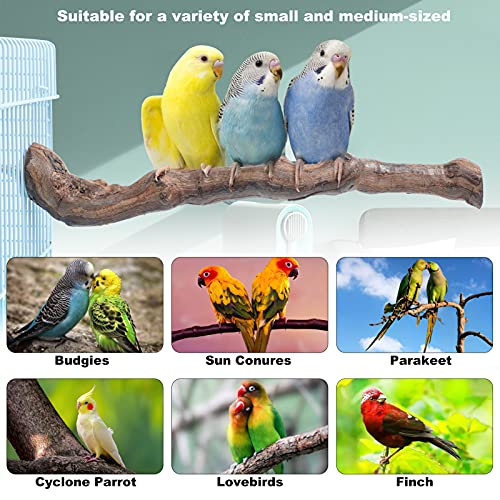 COUNER Bird Parrot Perch Stand Natural Wild Grape Stick Bird Play Stand Bird Toys Grinding Paw Cage Accessories for Cockatiels Budgie Parakeets Conures Love Birds Finches