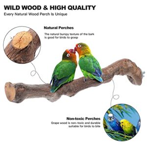 COUNER Bird Parrot Perch Stand Natural Wild Grape Stick Bird Play Stand Bird Toys Grinding Paw Cage Accessories for Cockatiels Budgie Parakeets Conures Love Birds Finches