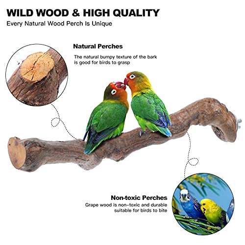 COUNER Bird Parrot Perch Stand Natural Wild Grape Stick Bird Play Stand Bird Toys Grinding Paw Cage Accessories for Cockatiels Budgie Parakeets Conures Love Birds Finches