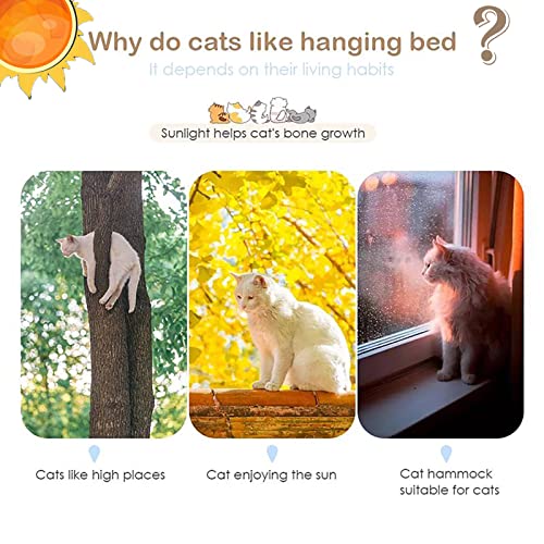 Cat Window Hammock Perch Cat Safety Sunny Bed with Durable Heavy Duty Suction Cups Resting Sunny Window Seat for Indoor Cats Sleeping Space Saving Window Mounted Cat Bed Holds Up to 30lbs (Blue)