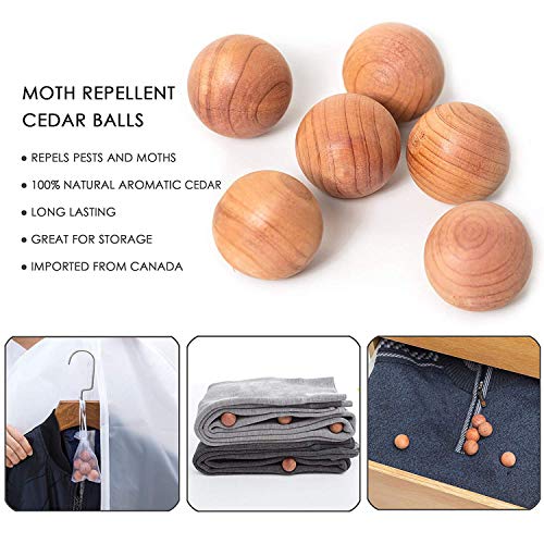 Mskitchen Garment Bags for Closet Storage Garment Covers Clear Garment Bags Clothes Protectors for Closet Hanging Garment Bag Dress Bag Plastic Garment Bags with Cedar Balls -24”x43”/54”/6 Pack