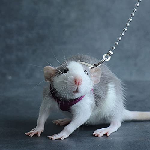 Adjustable Fancy Rat Hamster Harness Rat Guinea Pig Training Walking with Bell Leather Leash Reptile Harness Suitable for Small, Medium，Large Rats or Reptiles (Purple)