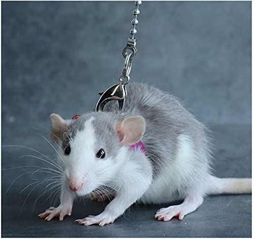 Adjustable Fancy Rat Hamster Harness Rat Guinea Pig Training Walking with Bell Leather Leash Reptile Harness Suitable for Small, Medium，Large Rats or Reptiles (Purple)