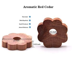 Wahdawn Aromatic Cedar Blocks for Clothes Storage, 100% Natural Cedar Hanger Rings & Hearts Blocks, Storage Accessories Closets & Drawers (40)