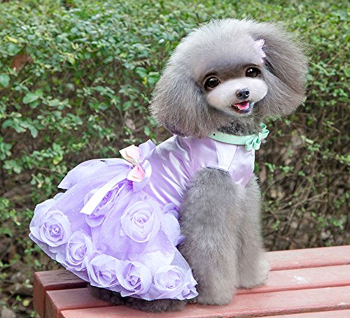 SMALLLEE_LUCKY_STORE Pet Small Dog Wedding Dress with Bowknot Birthday Party Costume Satin Rose Pearls Girl Formal Dress Cat Tutu Purple Violet XXL