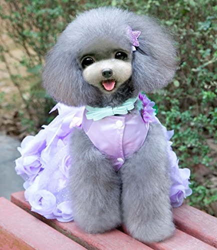 SMALLLEE_LUCKY_STORE Pet Small Dog Wedding Dress with Bowknot Birthday Party Costume Satin Rose Pearls Girl Formal Dress Cat Tutu Purple Violet XXL