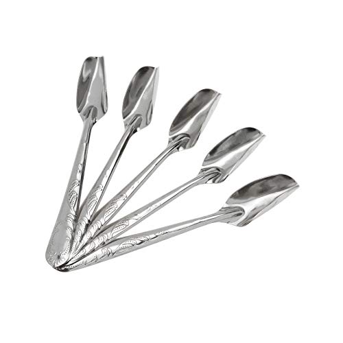 Quluxe 5 Pcs Bird Parrot Stainless Steel Metal Feeding Spoon, Special Feeding Scoop Medicine Spoons Hand Feeding Spoons for Peony Cockatiel Parrot