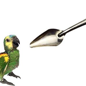 Quluxe 5 Pcs Bird Parrot Stainless Steel Metal Feeding Spoon, Special Feeding Scoop Medicine Spoons Hand Feeding Spoons for Peony Cockatiel Parrot