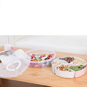 Handheld Dried Fruit Tray with lid, Sealed Box with lid, Snack Box, Candy Box, Food Storage Box, Divided Fruit Tray