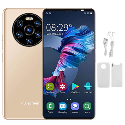 Diydeg 5.45in HD Screen Phone, LANDVO Mate40 Pro 3G 1GB+8GB 500W+200W Pixels Camera Dual Card Dual Standby Phone, for Gift Man(Golden)