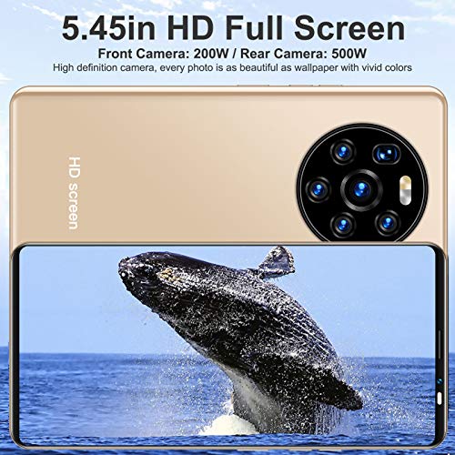 Diydeg 5.45in HD Screen Phone, LANDVO Mate40 Pro 3G 1GB+8GB 500W+200W Pixels Camera Dual Card Dual Standby Phone, for Gift Man(Golden)