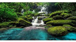 awert 48x18 inches waterfall terrarium background tropical rainforest aquarium background mountain lake green tree reptile habitat background polyester background