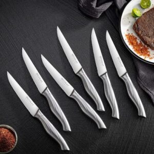 BECOKAY Steak Knives - Steak Knives Set of 6 High Carbon German Steel Serrated Steak Knife - 4.3 Inch Premium Steak Knife Set - Ergonomic Full Tang Hollow Handle (Silver)