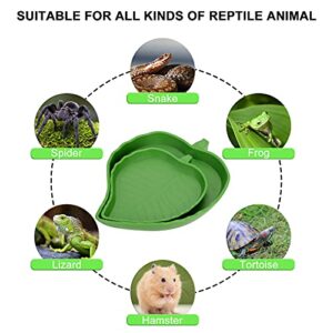 Molain Reptile Leaf Food Water Bowl, 2 Pieces Reptile Leaf Shape Dish Flat Drinking Bowl Water Plate for Turtle Lizards, Hamsters, Snakes 2 Sizes