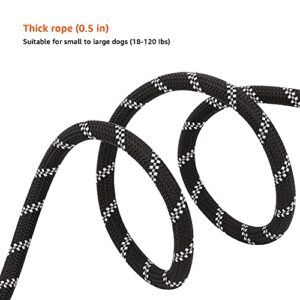 Amazon Basics 5-Foot Reflective Dog Leash with Comfortable Padded Handle, Black, for Large, Medium or Small Dogs