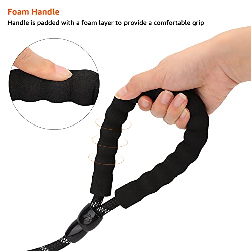 Amazon Basics 5-Foot Reflective Dog Leash with Comfortable Padded Handle, Black, for Large, Medium or Small Dogs