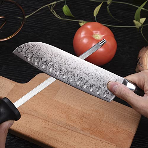 longyier Professional Kitchen Knife High Carbon Stainless Steel Chef Knife Set, 2PCS Ultra Sharp Japanese Knifes with Sheath and Sharpening Steel for Home or Restaurant