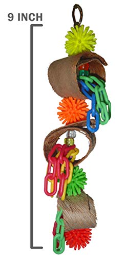 Fetch-It Pets 2 Pack Bird/Parrot Surprise Box Fundangle & Fiesta Foraging Toys Suitable for Small Parakeets, Cockatiel, Conures, Finches, Budgie, Macaws, Parrots, Love Birds