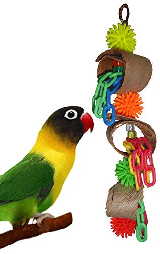 Fetch-It Pets 2 Pack Bird/Parrot Surprise Box Fundangle & Fiesta Foraging Toys Suitable for Small Parakeets, Cockatiel, Conures, Finches, Budgie, Macaws, Parrots, Love Birds