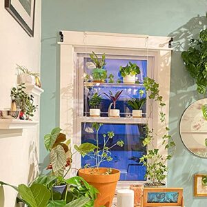 Goosacyon Window Plant Shelf Indoor Transparent Hanging Planter Shelf Displays Storage Rack Acrylic Window Shelves for Living Room Bedroom Bathroom Kitchen (210506SH01-2-10572-1910008621)