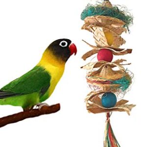 Fetch-It Pets 2 Pack Bird/Parrot Chewriffic & Hat Hat Hooray Foraging Toys Suitable for Small Parakeets, Cockatiel, Conures, Finches, Budgie, Macaws, Parrots, Love Birds