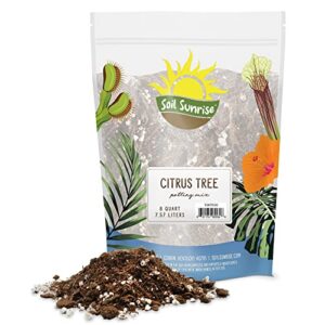 citrus tree potting soil mix (8 quarts), special blend for indoor oranges, lemons, limes and more