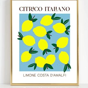 Abstract Fruit No.11 Lemons Exhibition Wall Art Print. 11x14 UNFRAMED Modern Kitchen Wall Decor. Shades of Green, Yellow & Blue on White.