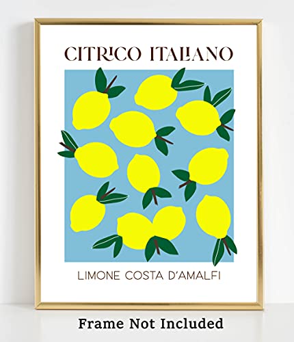 Abstract Fruit No.11 Lemons Exhibition Wall Art Print. 11x14 UNFRAMED Modern Kitchen Wall Decor. Shades of Green, Yellow & Blue on White.