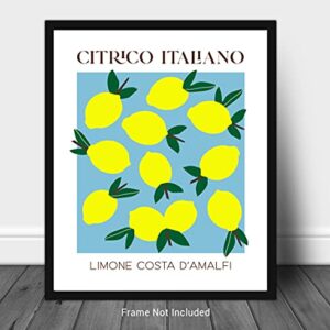 Abstract Fruit No.11 Lemons Exhibition Wall Art Print. 11x14 UNFRAMED Modern Kitchen Wall Decor. Shades of Green, Yellow & Blue on White.