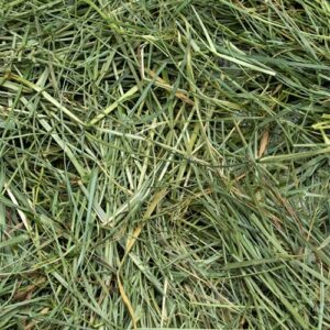 Rabbit Hole Hay Ultra Premium, Hand Packed Mountain Grass for Your Small Pet Rabbit, Chinchilla, or Guinea Pig (5lb)