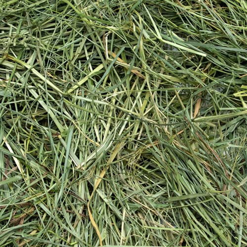 Rabbit Hole Hay Ultra Premium, Hand Packed Mountain Grass for Your Small Pet Rabbit, Chinchilla, or Guinea Pig (12oz)