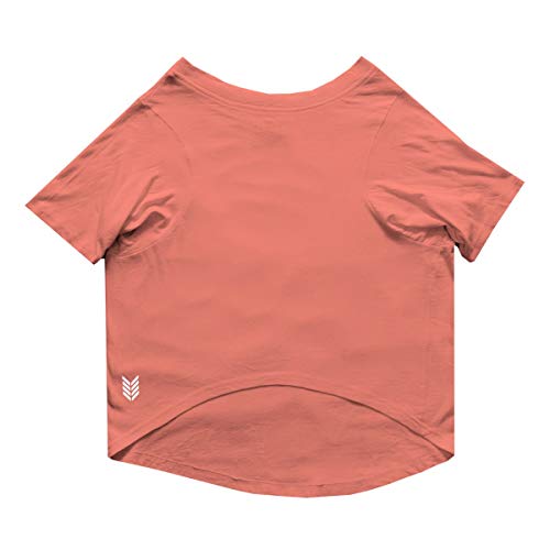 Ruse- Basic Summer Dog T-Shirt Solid Pets Crew Neck Half Sleeves Shirt/Apparel/Clothes/Tees Gift for Dogs(Salmon)/Small (Apso, Shih Tzu etc.)