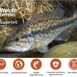 Alltech Coppens SP-15 5mm Floating Fish Food - Extruded Feed for All Pond-Raised Bluegill, Crappie, Catfish, Trout and Other Freshwater Fish - 44 LBs