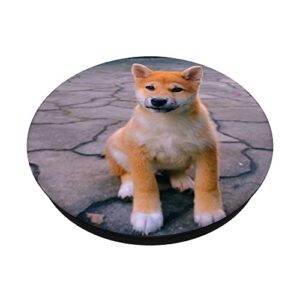 Shiba Inu Dog Lover PopSockets Swappable PopGrip