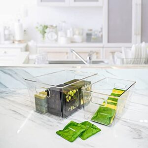 Puricon Set of 4 Refrigerator Organizer Bins, Clear Plastic Kitchen Organizer Food Storage Containers with Handles for Fridge Pantry Freeze Cabinets Countertops - BPA Free