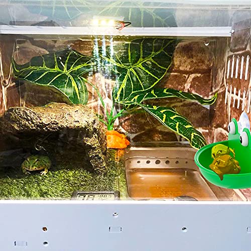 2 Pack Frog Habitat Cute Fish Tank Decoration for Toad Frog Tadpole Tree Frog Small Aquatic Animals