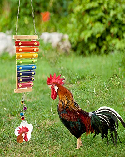 Woiworco 4 Packs Chicken Toys for Hens in Coop, Chicken Xylophone Toy with Mirror, Vegetable Hanging Feeder and Chicken Swing Toys Chicken Supplies Chicken Coop Accessories for Your Chicken Gift