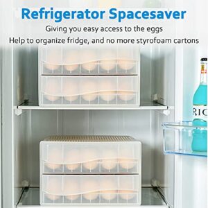 Egg Holder for Refrigerator, THIPOTEN 60 Grid Eggs Storage Container for Refrigerator, Perfect Household Egg Organizer for a Hobby Farm