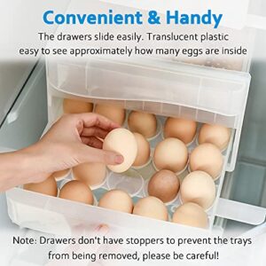 Egg Holder for Refrigerator, THIPOTEN 60 Grid Eggs Storage Container for Refrigerator, Perfect Household Egg Organizer for a Hobby Farm