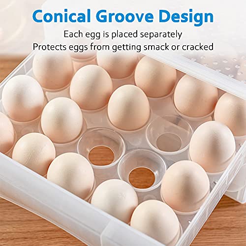 Egg Holder for Refrigerator, THIPOTEN 60 Grid Eggs Storage Container for Refrigerator, Perfect Household Egg Organizer for a Hobby Farm